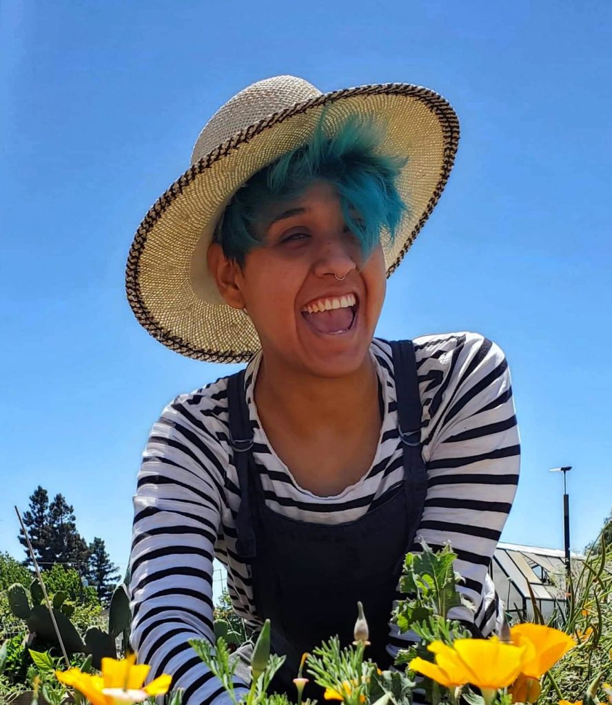 About Us – David Black & Co